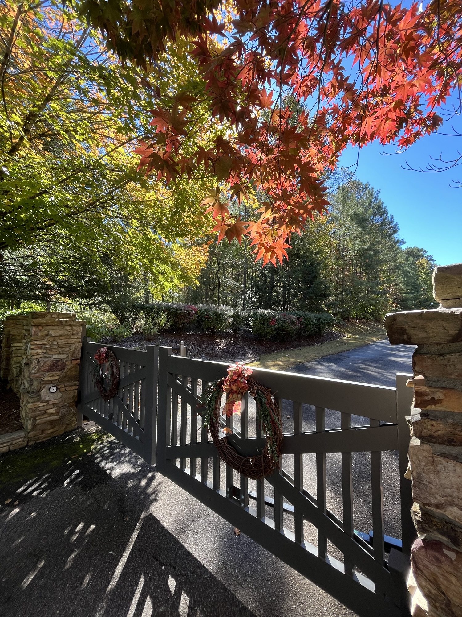 🍁Fall Color🍁 – Tranquility at Carters Lake Owners Association