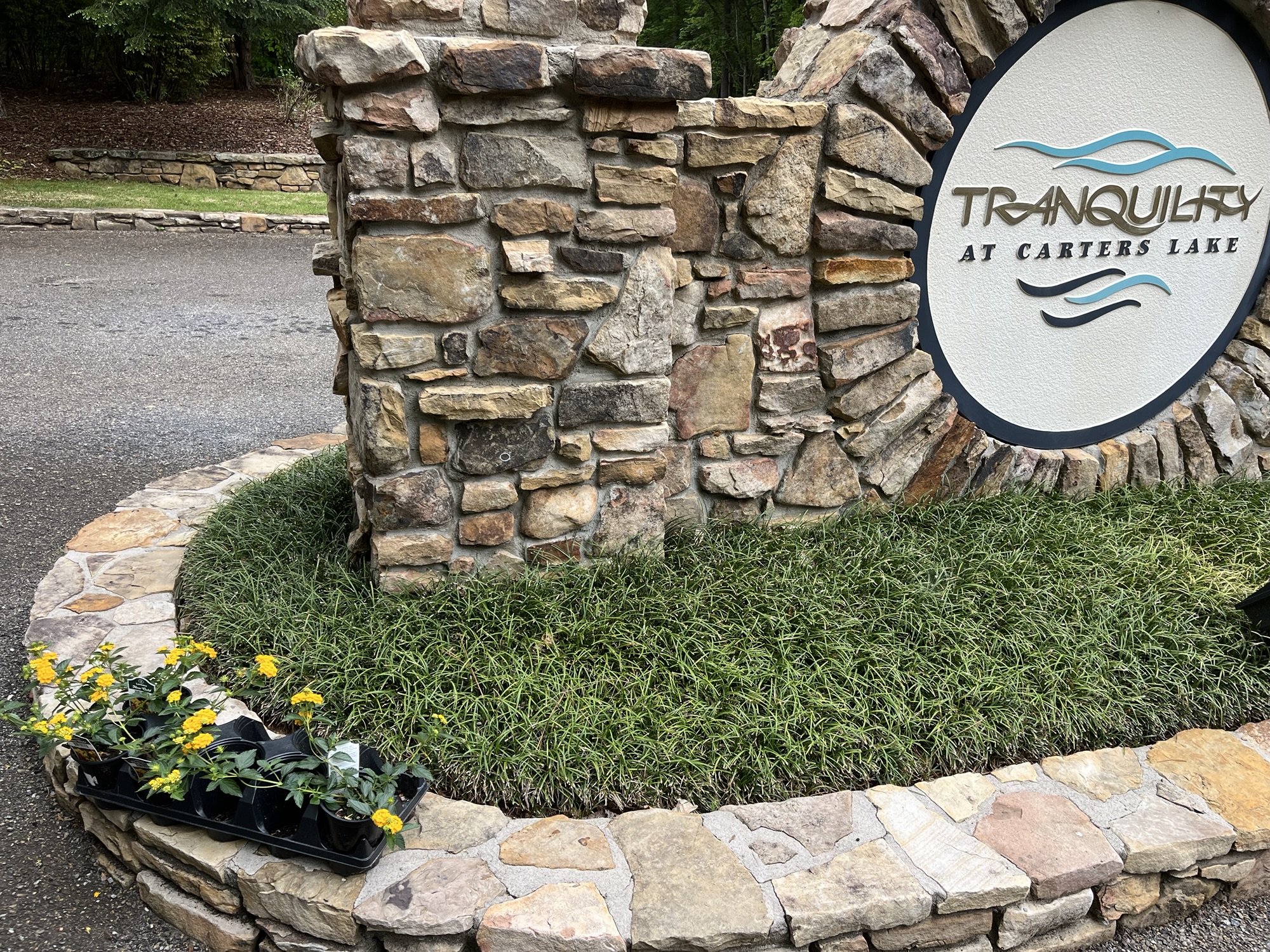 🌼At Our Gates🌼 – Tranquility at Carters Lake Owners Association